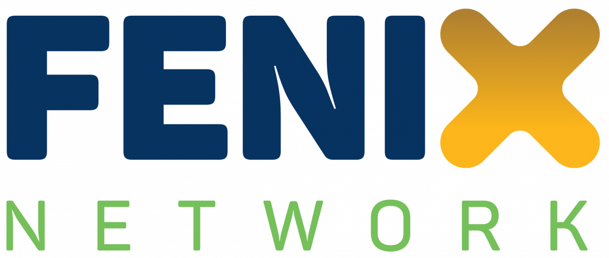 FENIX flagship project